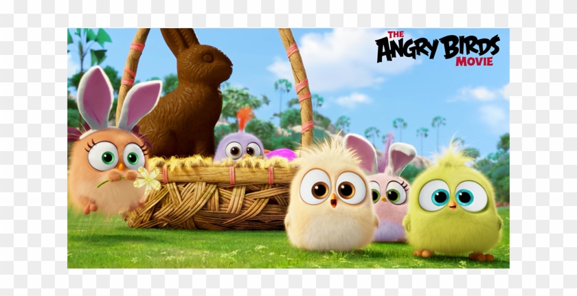 Baby Angry Birds