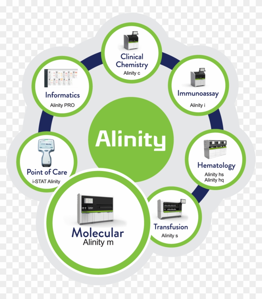 Alinity - Alinity Abbott, HD Png Download - 948x1035(#5386795) - PngFind