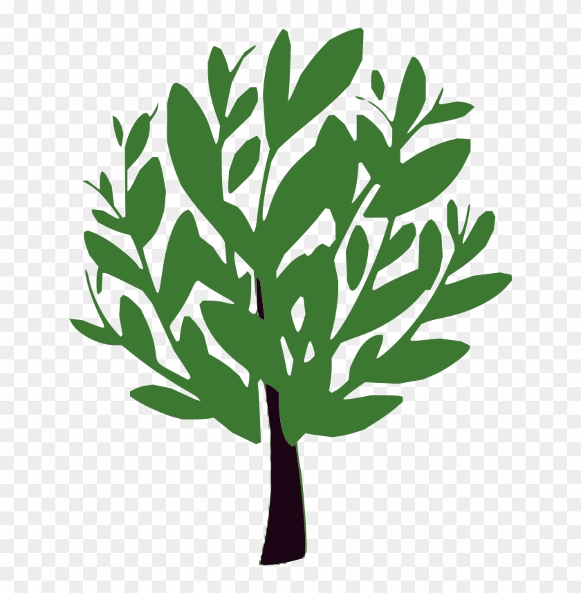 The Bay Tree - Bay Tree Clipart, HD Png Download - 640x778(#5396732 ...
