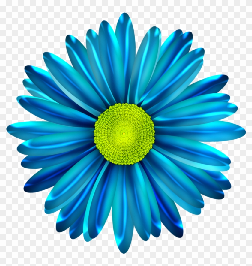 Blue Daisy Flower Png, Transparent Png - 962x972(#541353) - PngFind