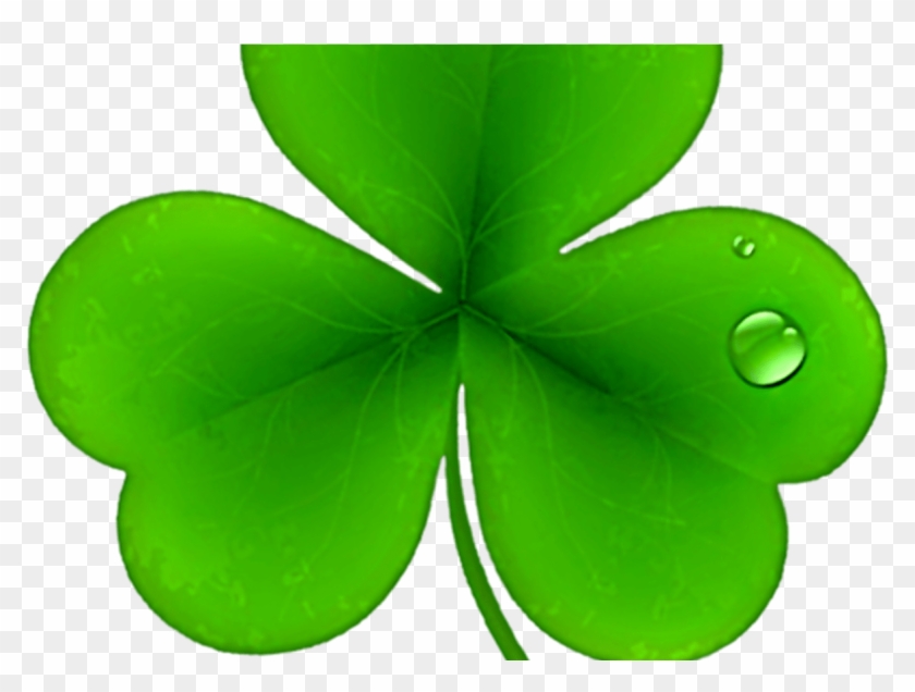 Shamrocks Clip Art Patricks Day Png St Patricks Day - Leaf Clover Png ...