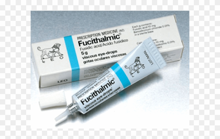 Fucithalmic Eye Drops, HD Png Download - 800x533(#5409280) - PngFind