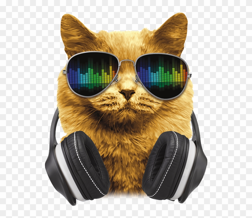 Dj Cat Png, Transparent Png - 675x675(#5413448) - PngFind