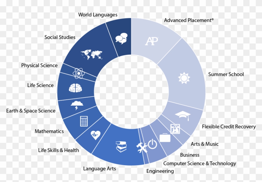 Course Discipline Breakdown Graph - Graph Of Life Skills Class In High ...