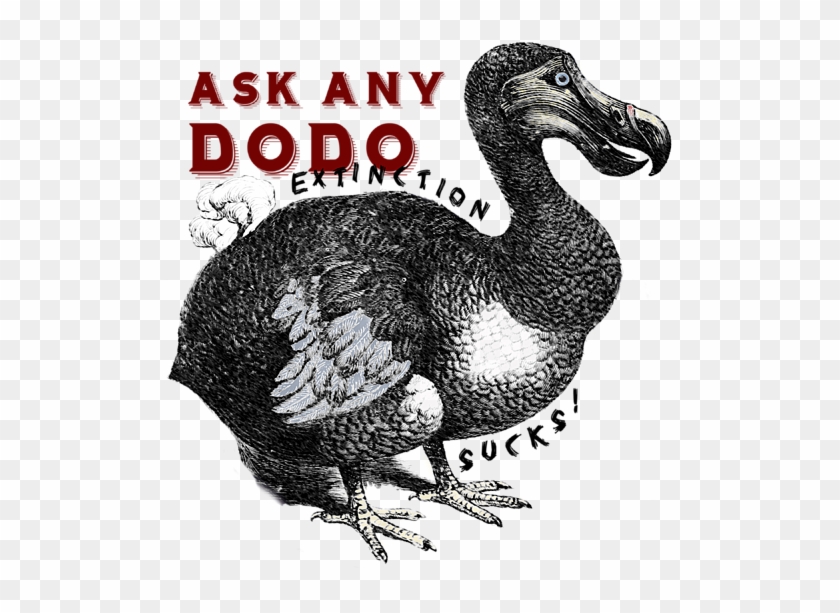 Click And Drag To Re-position The Image, If Desired - Dodo Bird ...