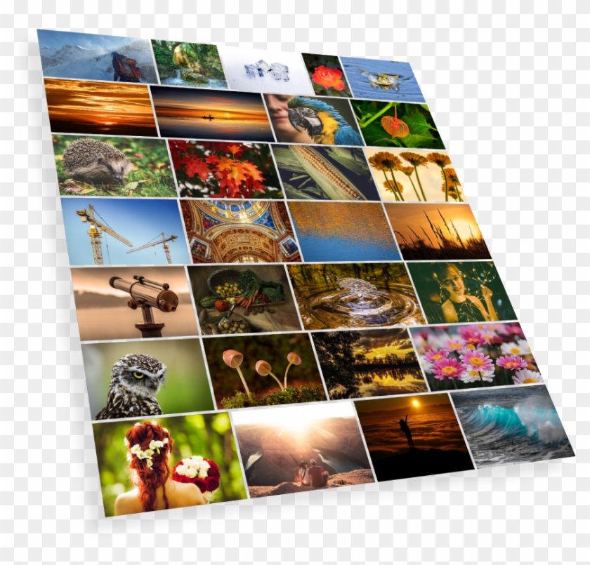 Claro Also Offers Flexible Workflow Options - Collage, HD Png Download ...