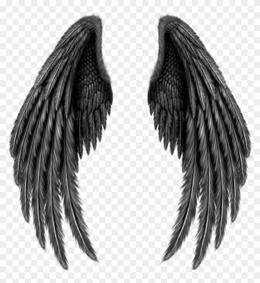 Asa Sticker - Black Angel Wings Png, Transparent Png - 1024x1024 ...