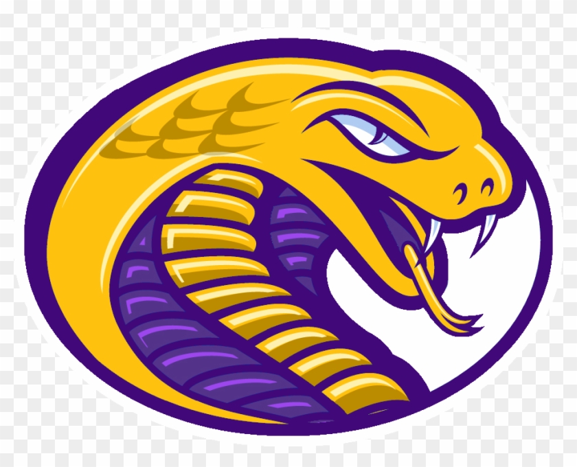 Snake Logo Png - Coker College Logo, Transparent Png - 936x714(#5472642 ...
