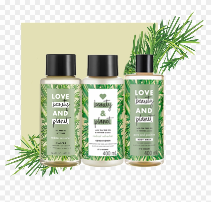 Tea Tree Png, Transparent Png - 5000x5000(#5473901) - PngFind