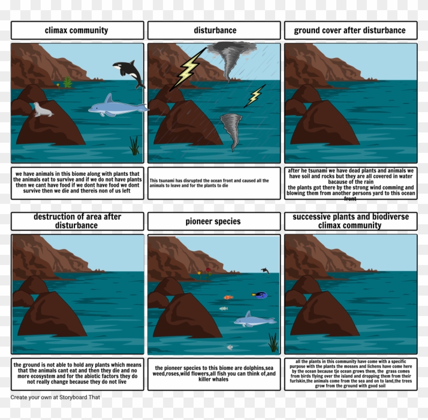 Science Project Ocean - Sea, HD Png Download - 1164x1086(#550723) - PngFind