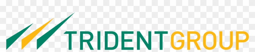 Trident Group - Corporate Company Logo Png, Transparent Png - 3436x1001 ...