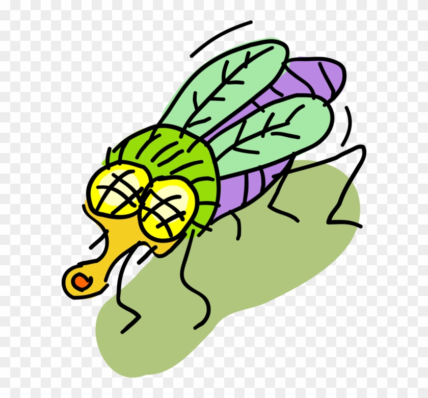 Vector Illustration Of Colorful Housefly Insect Fly - Cartoon, HD Png ...