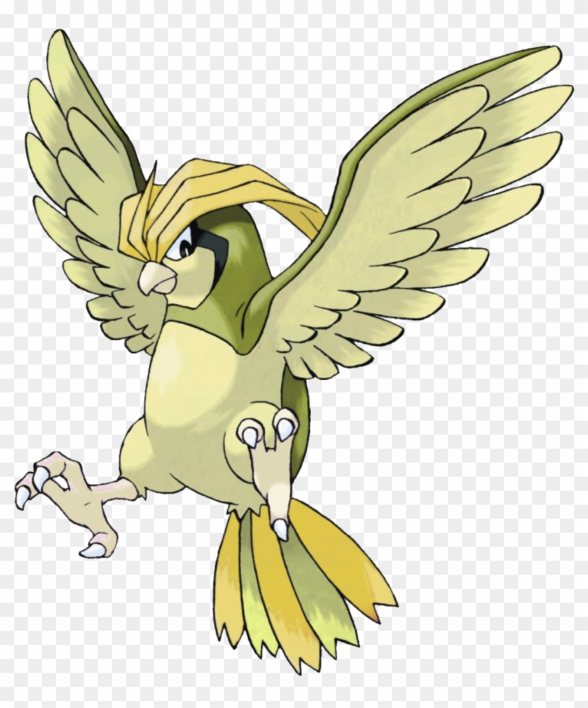 017 Pidgeotto Shiny - Pokemon Pidgeotto, HD Png Download - 970x1121 ... 017 Pidgeotto Shiny - Pokemon Pidgeotto, HD Png Download - 970x1121 ...