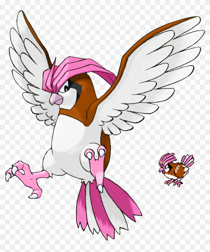 View Pidgeotto , - Pokemon Pidgeotto, HD Png Download - 1159x1159 ...