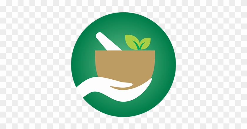 Ayush Logo 2 - Herbal Clinic, HD Png Download - 625x628(#5640873) - PngFind
