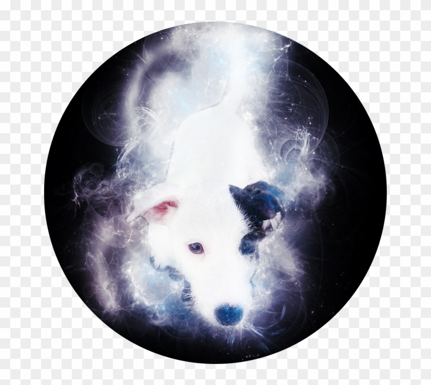 Fancy Photoshop - - Circle, HD Png Download - 807x672(#5649678) - PngFind