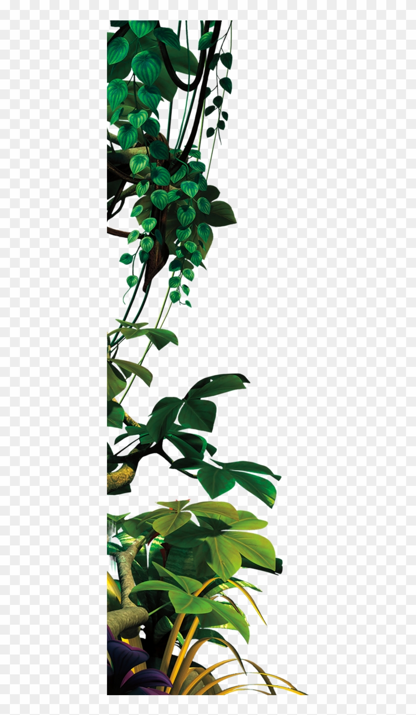 Format Hd - Rio 2 Png, Transparent Png - 420x1361(#5676805) - PngFind