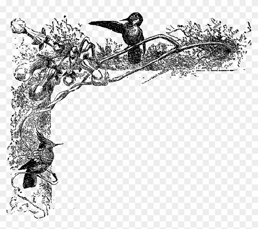 Bird Digital Corner Design - Bird Corner Design, HD Png Download ...