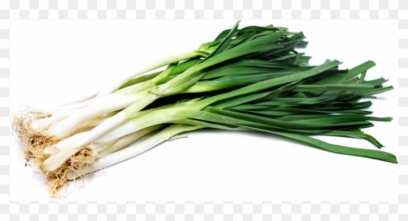 Leeks Vegetable, HD Png Download - 800x800(#5690658) - PngFind