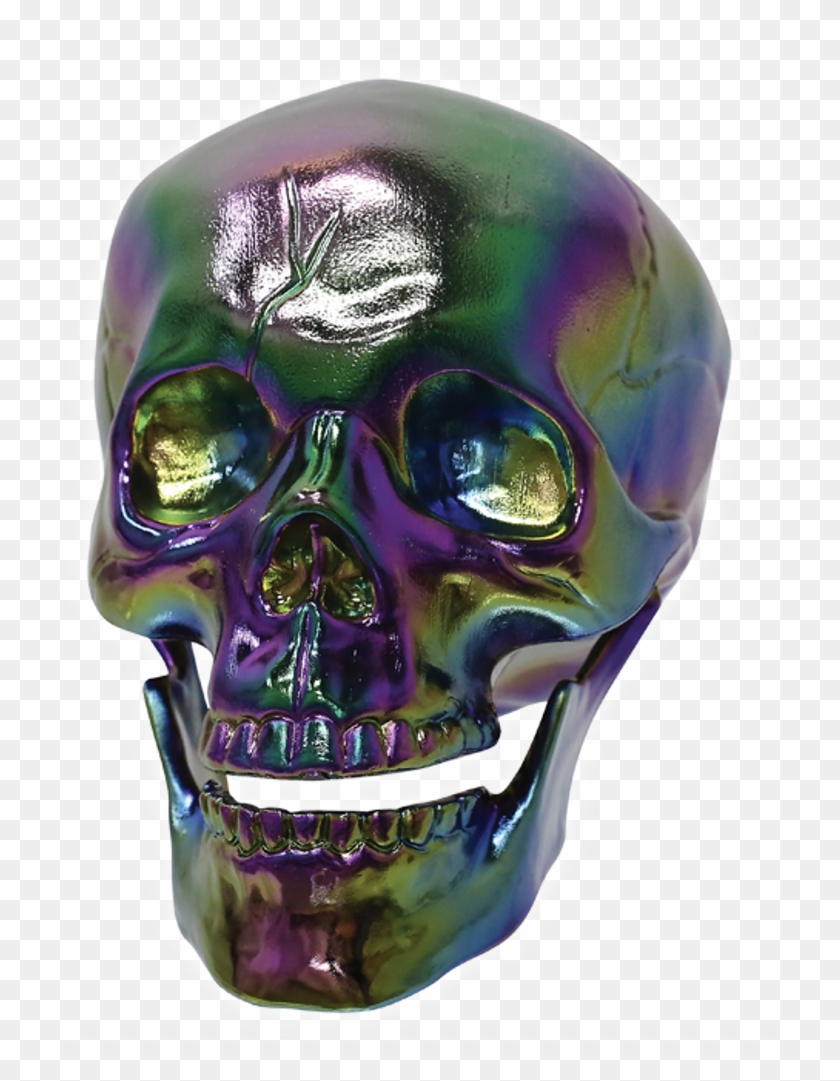 Oil Slick Skull Skeleton Head Decoration Skull Desert - Skull, HD Png ...
