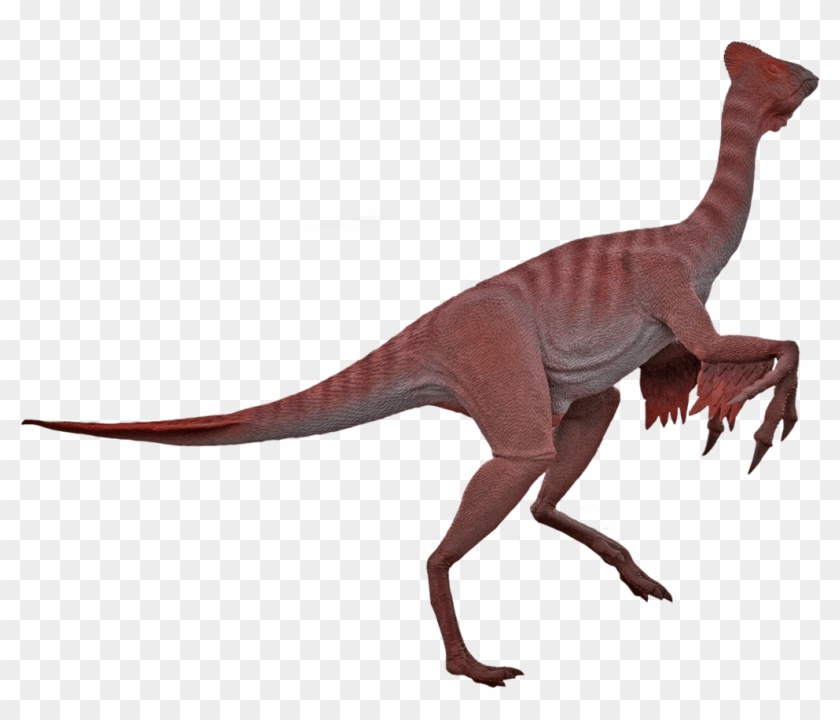 Oviraptor - Dinosaurs Png Moab Giants, Transparent Png - 1040x827 ...
