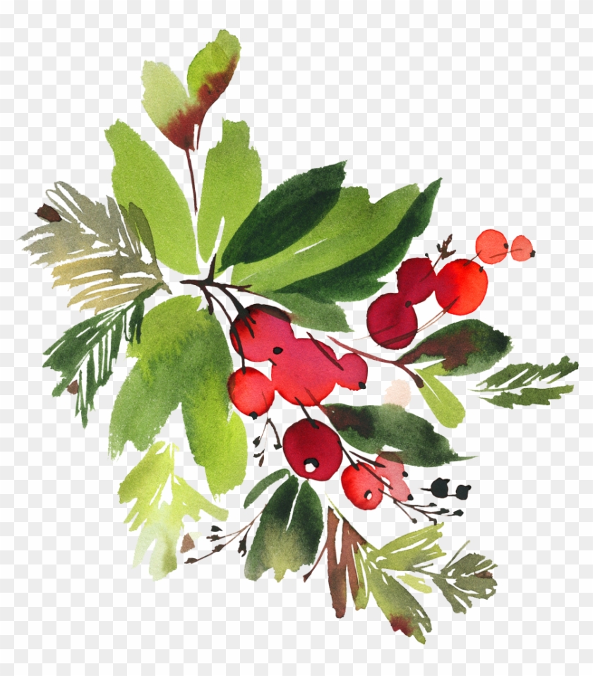 Snowman Watercolor Flowers Png - Watercolor Christmas Flowers Png ... Snowman Watercolor Flowers Png - Watercolor Christmas Flowers Png ...
