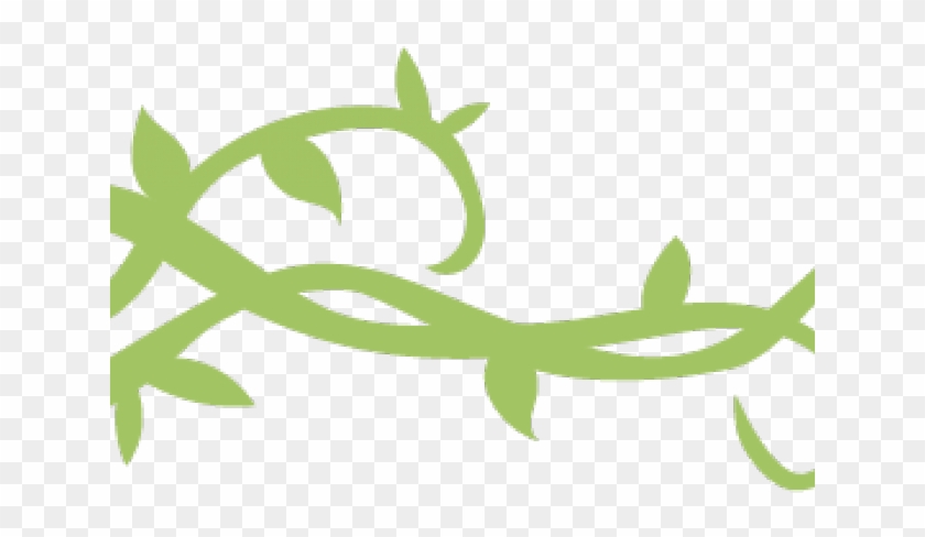 Beanstalk Clipart - Transparent Background Beanstalk Growth, HD Png Download - 640x480(#5723273 ...