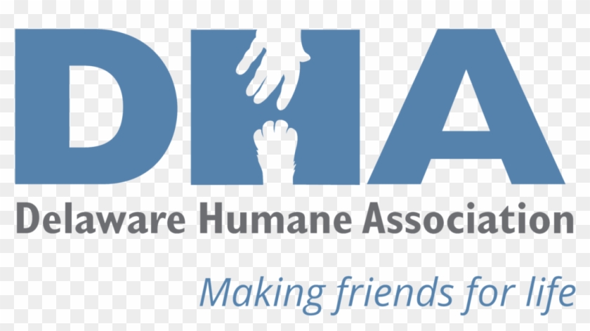 Dha-logo - Graphic Design, HD Png Download - 1080x1080(#5781455) - PngFind