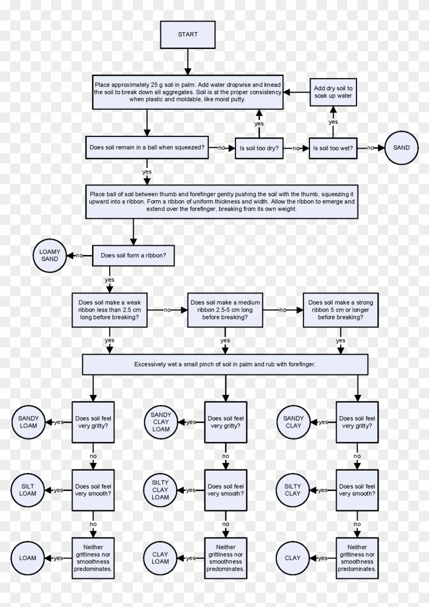 Texture By Feel - Soil Texture Flow Chart, HD Png Download - 1538x2100 ...