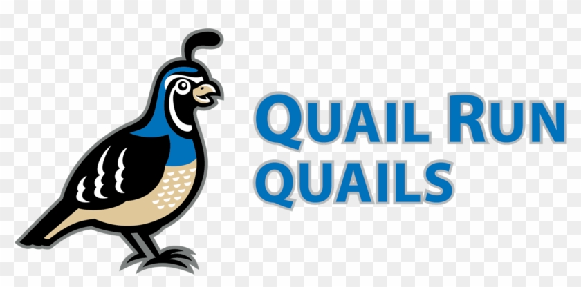 About Quail Run - Quail Run Elementary School Mascot, HD Png Download ...