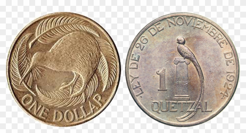 A Kiwi And A Quetzal - Quetzal Coin, HD Png Download - 1000x500 ...