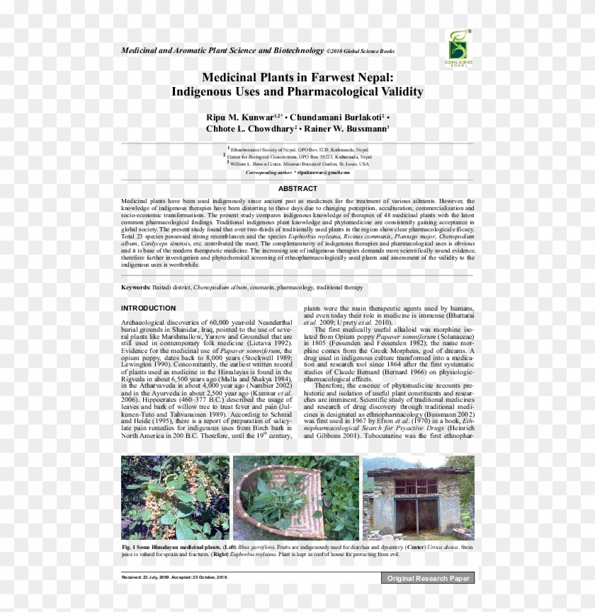 Pdf - Abijalo In Nepali, HD Png Download - 595x842(#5830791) - PngFind