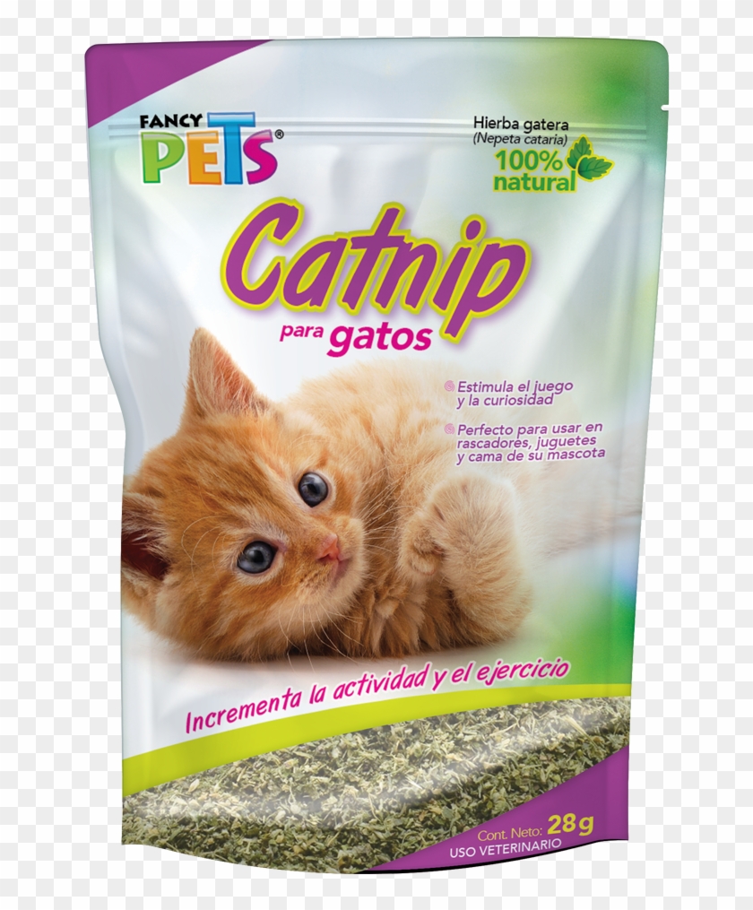 Catnip P/gatos 28 Grs - Catnip Gatos, HD Png Download - 1000x1000 ...