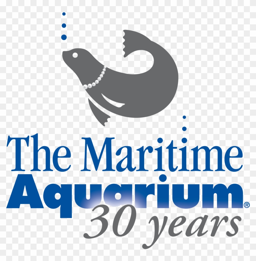 Life Between The Tides - Maritime Aquarium At Norwalk Ct, HD Png ...