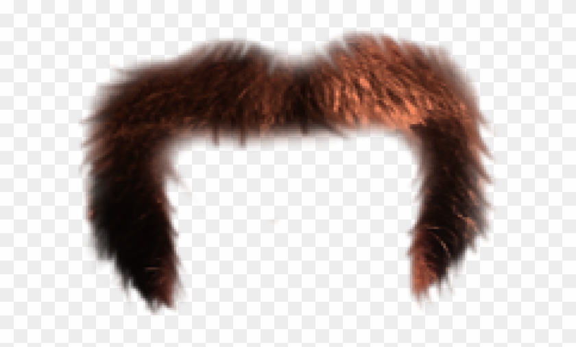 Moustache Png Transparente Handlebar Mustache PNGs For Free Download