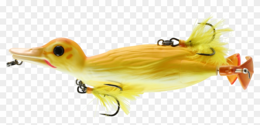 Murray Cod Surface Lures, HD Png Download - 3600x1908(#5902477) - PngFind