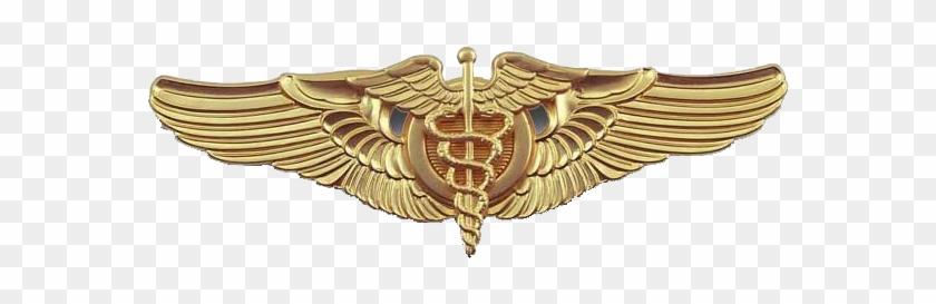 Flight Physicals - Aviation Medical Examiner Logo, HD Png Download ...