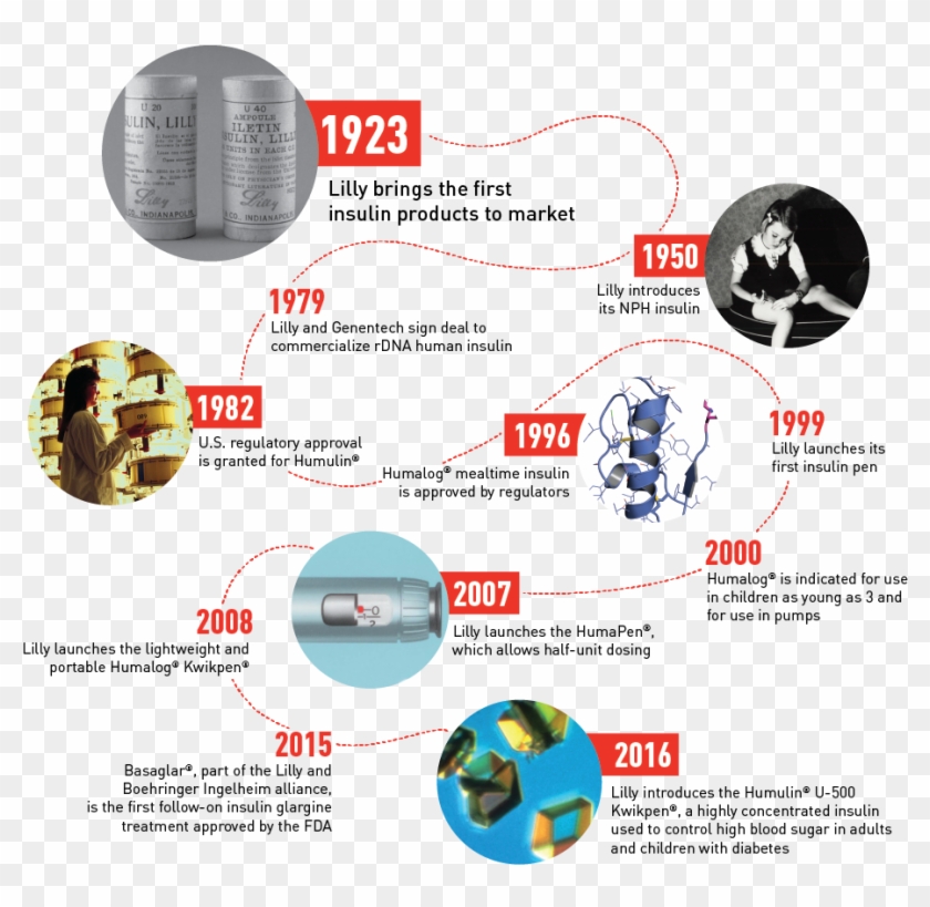 History Of Lilly Insulin Timeline Infographic - Circle, HD Png Download - 950x925(#5961196 ...