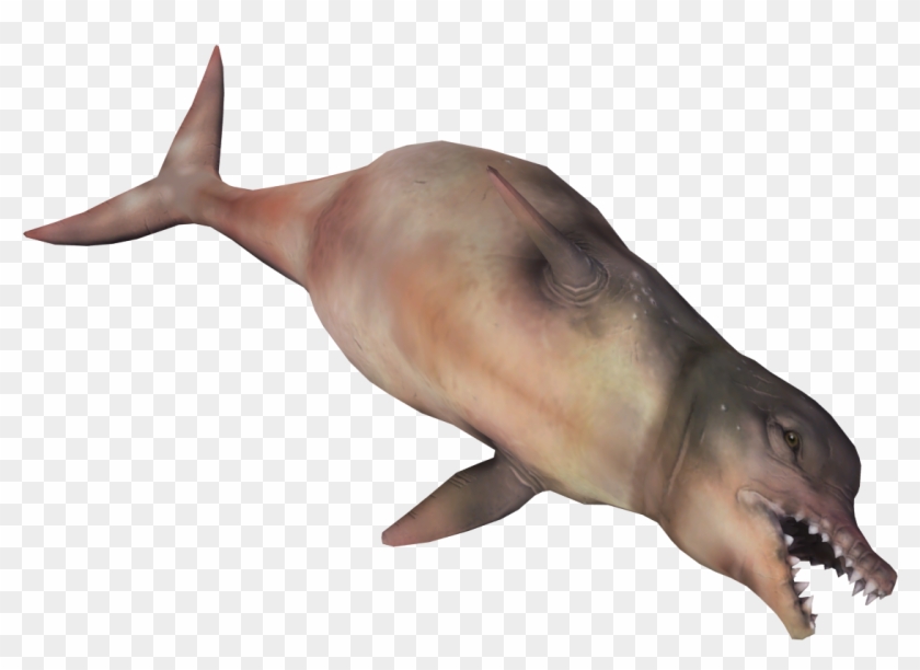 View Samegoogleiqdbsaucenao Fo4 Dolphin Whale Render - Fallout Sea ...