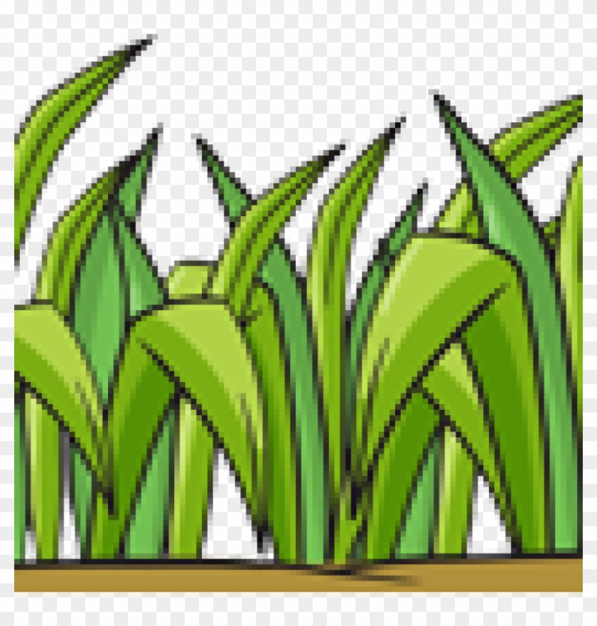 Grass - Imagenes De Zacates Animados, HD Png Download - 1024x1024 ...