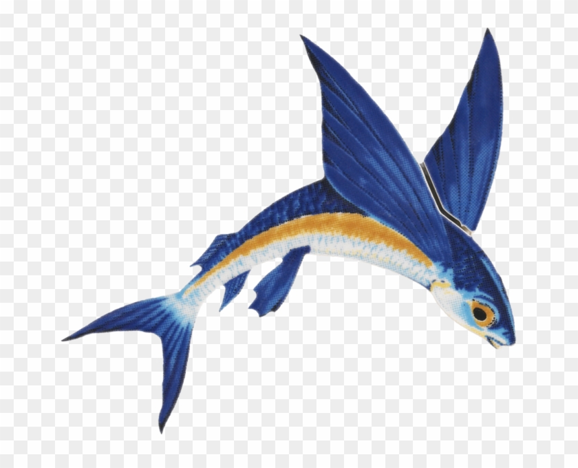 Flying Fish Png - Barbados Flying Fish Png, Transparent Png - 663x600 ...