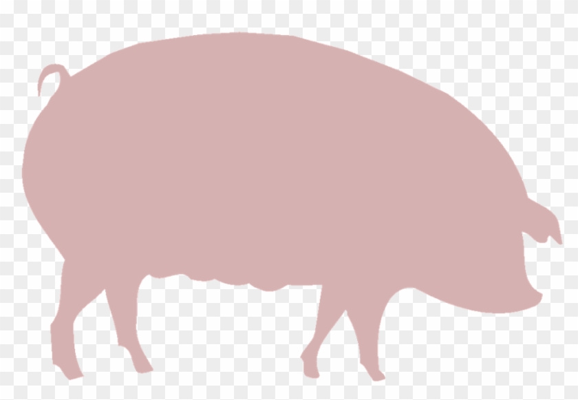 Farm Farming Animals Agriculture Rural Pig Hog - Hog Raffle, HD Png ...