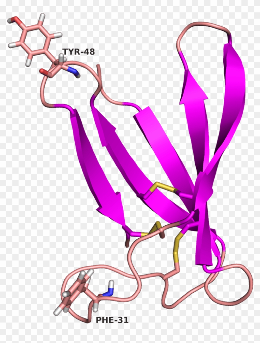 Cartoon Representation Of The Paf Solution Structure, HD Png Download ...