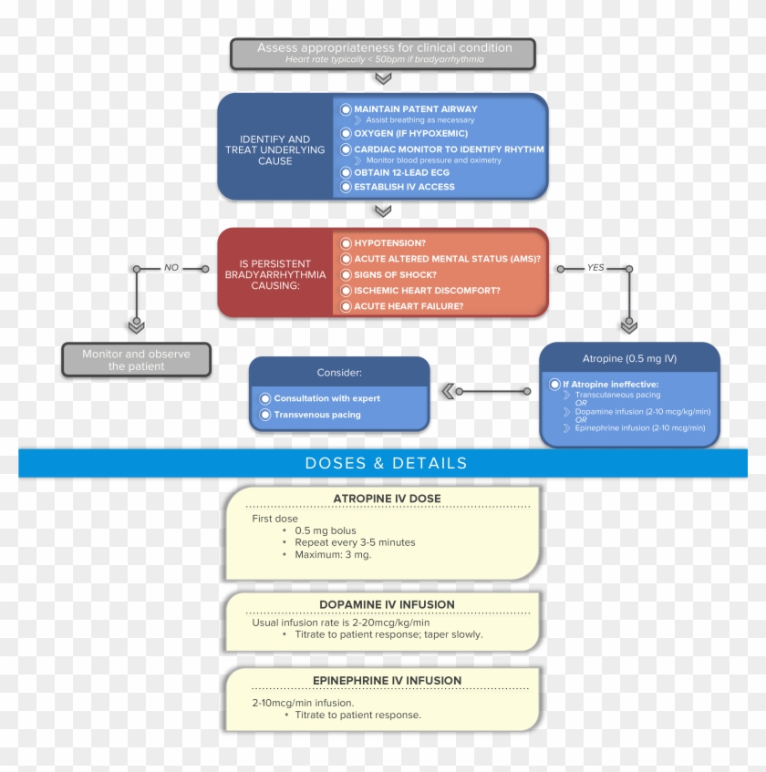 Algorithm Acls Bradycardia With A Pulse - Acls Bradycardia Algorithm ...