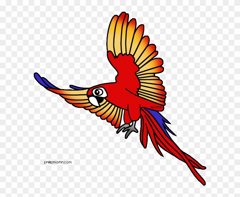 Image Of Amazon Clipart - Rainforest Animals Clipart, HD Png Download ...