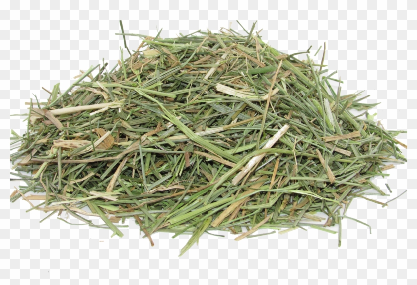 Hay Png, Transparent Png - 1181x986(#619105) - PngFind