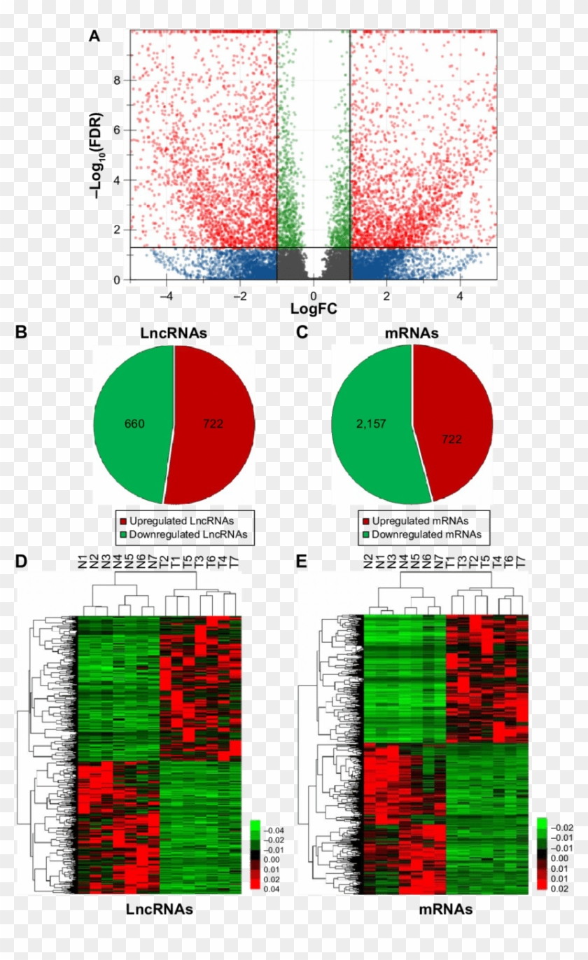 Summary Of Rna Sequencing Results - Volcano Plots Rna Seq, HD Png ... Summary Of Rna Sequencing Results - Volcano Plots Rna Seq, HD Png ...