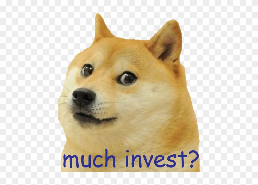 Best Time To Invest - Doge In Ice Cream Cup, HD Png Download - 640x628 ...
