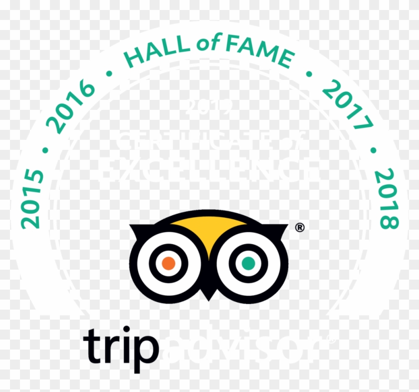 Tripadvisor Certificate Of Excellence 2019 Footer - Trip Advisor, HD ...