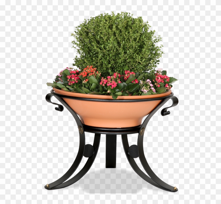 Rose Flower Pot Png